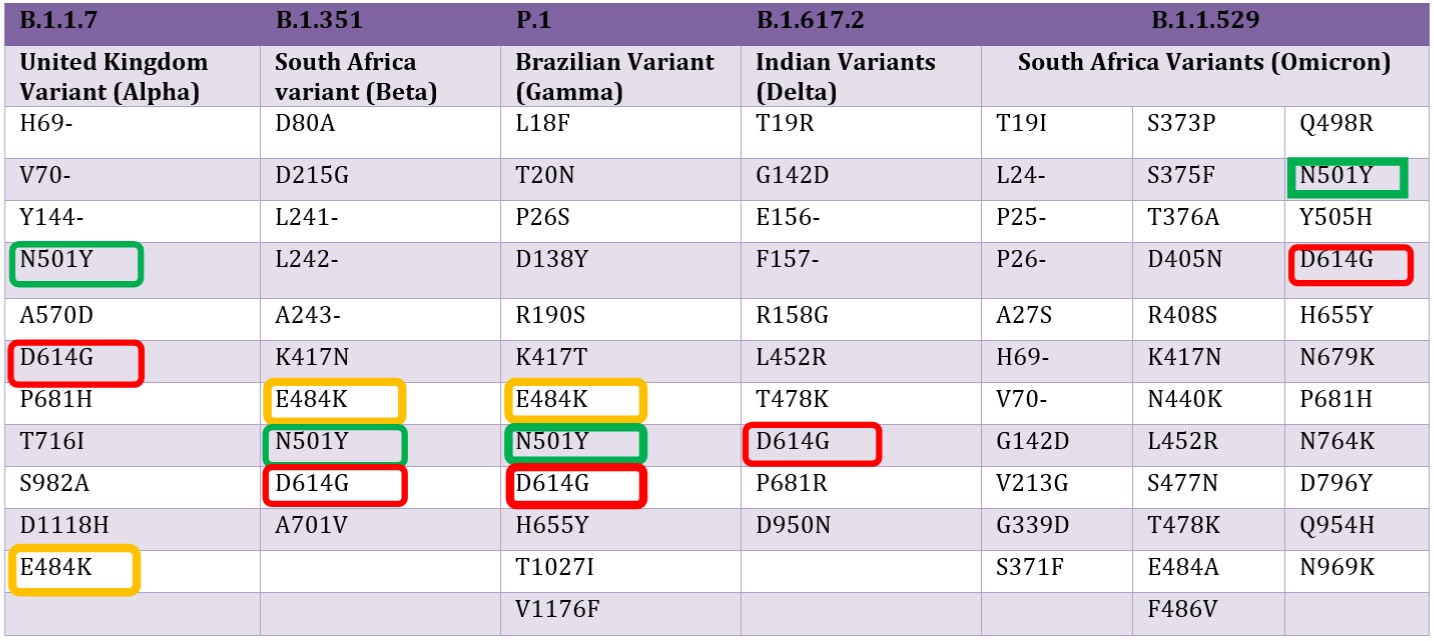 circled items indicate common mutations between the variants
